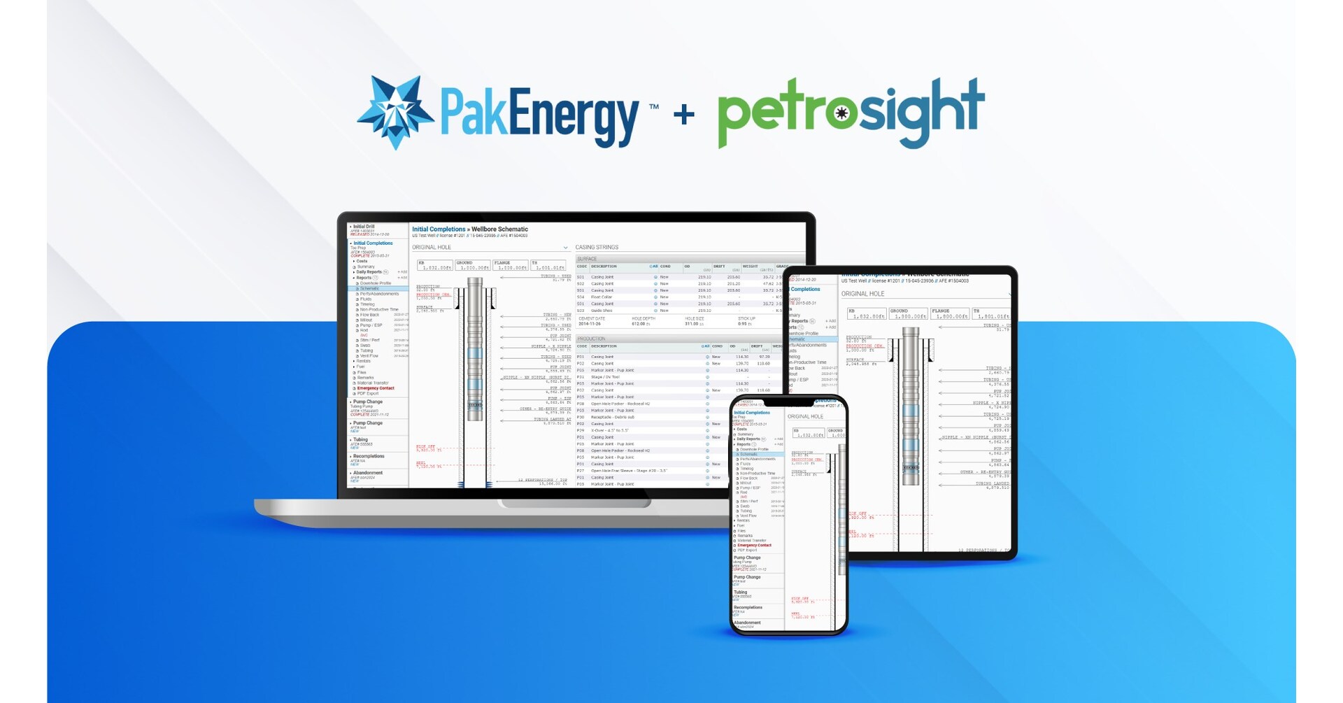 PakEnergy Expands Solutions for Energy Customers with Petrosight ...