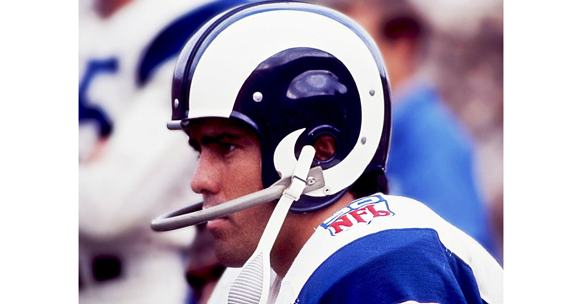 Asian Hall of Fame Confirms NFL Legend Roman Gabriel Jr.