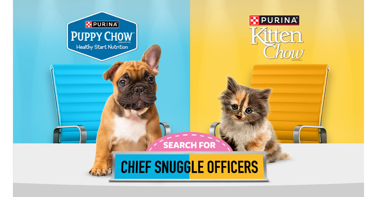 Purina Puppy Chow and Kitten Chow Launch Search for "Chief Snuggle ...