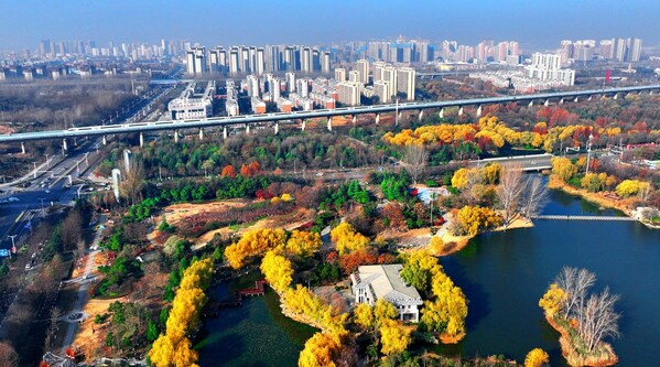 Xinhua Silk Road: Winter colors in east China's Longtan park