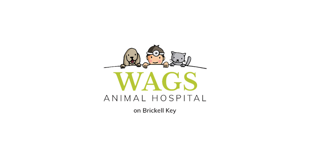 Wags Animal Hospital Announces the Addition of Acupuncture Therapy and ...