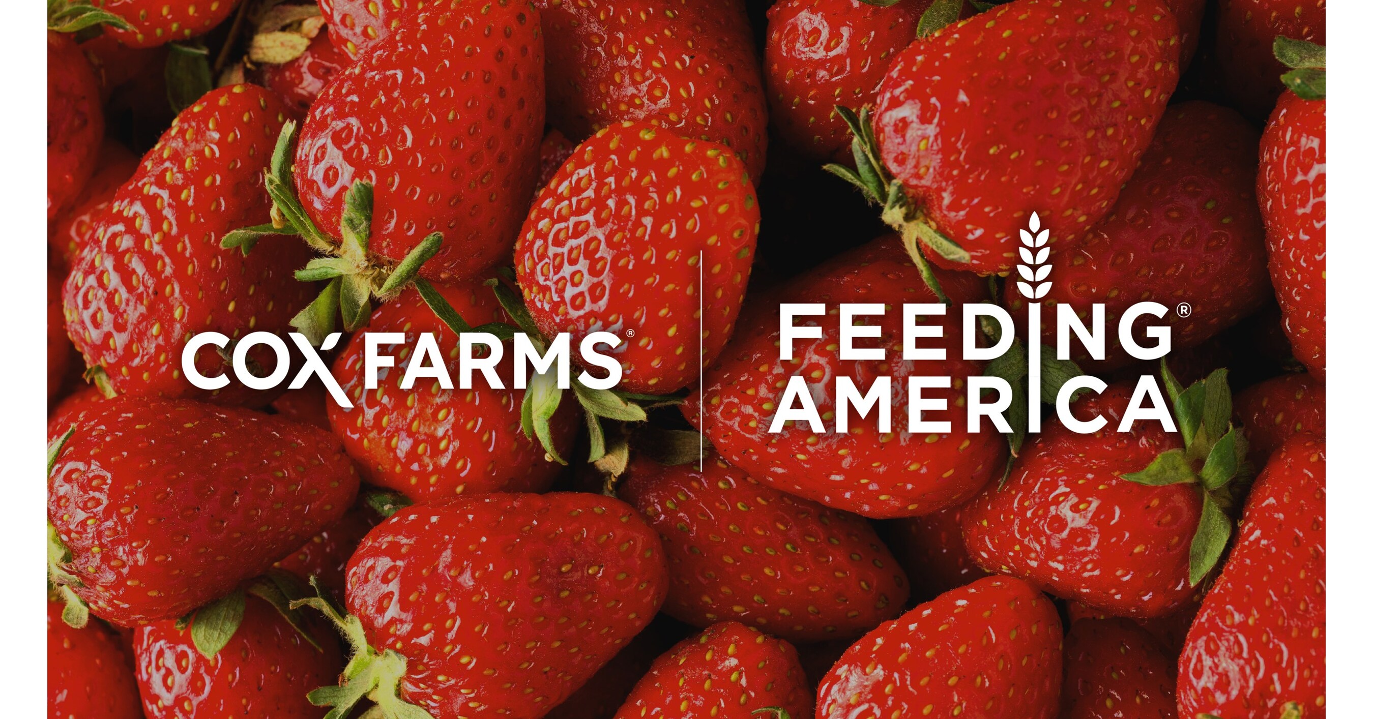 Cox Farms Partners with Feeding America® to Tackle Food Insecurity for ...