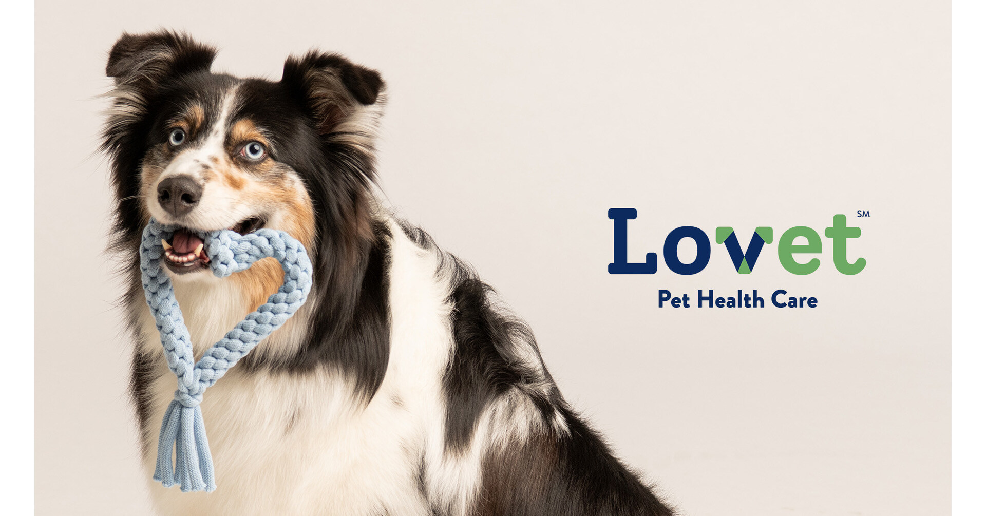 Lovet Pet Health Care Launches Flagship Veterinary Hospital in Chicago ...