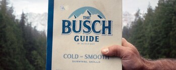 Michelob ULTRA, Busch Light, Budweiser, Bud Light and Stella Artois On ...