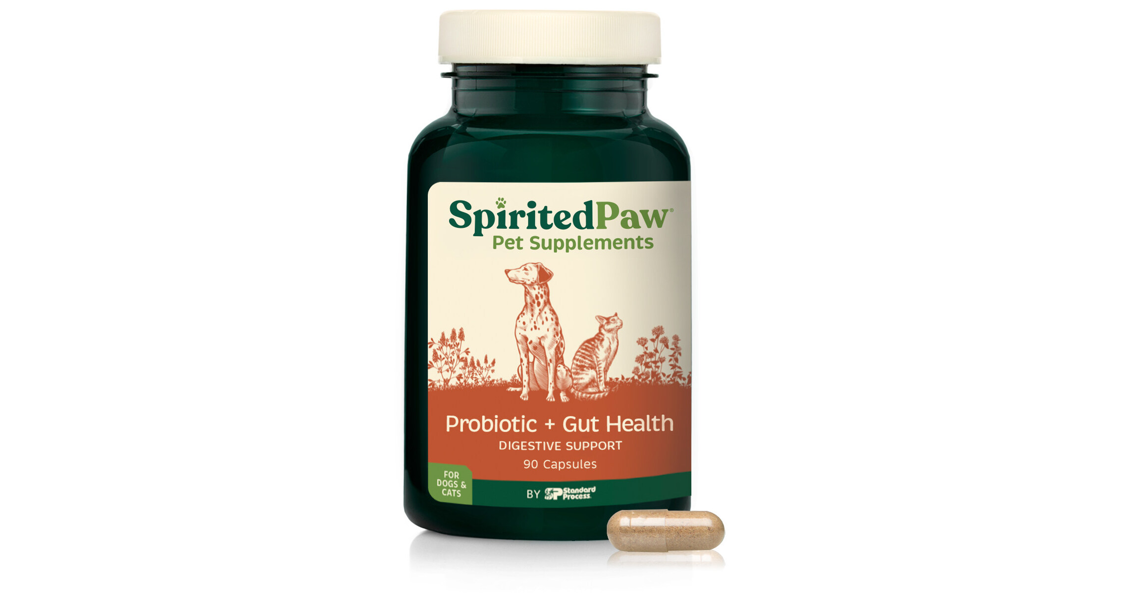 Spirited Paw Introduces Probiotic + Gut Health: A Supplement for Cats ...