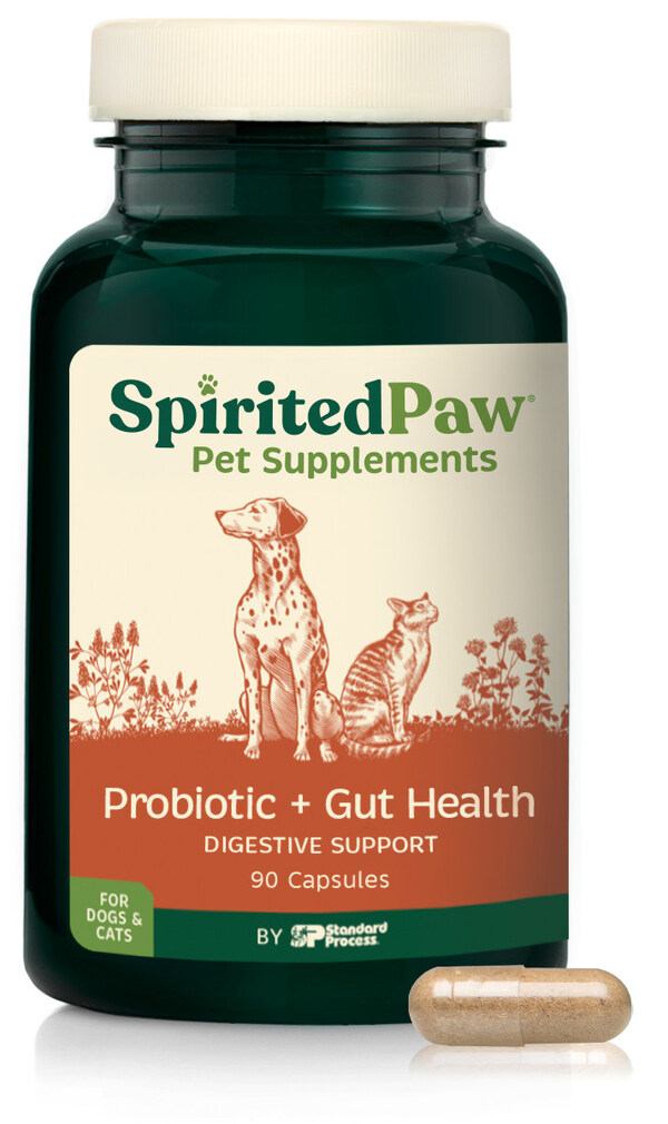 Spirited Paw Introduces Probiotic + Gut Health: A Supplement for Cats ...