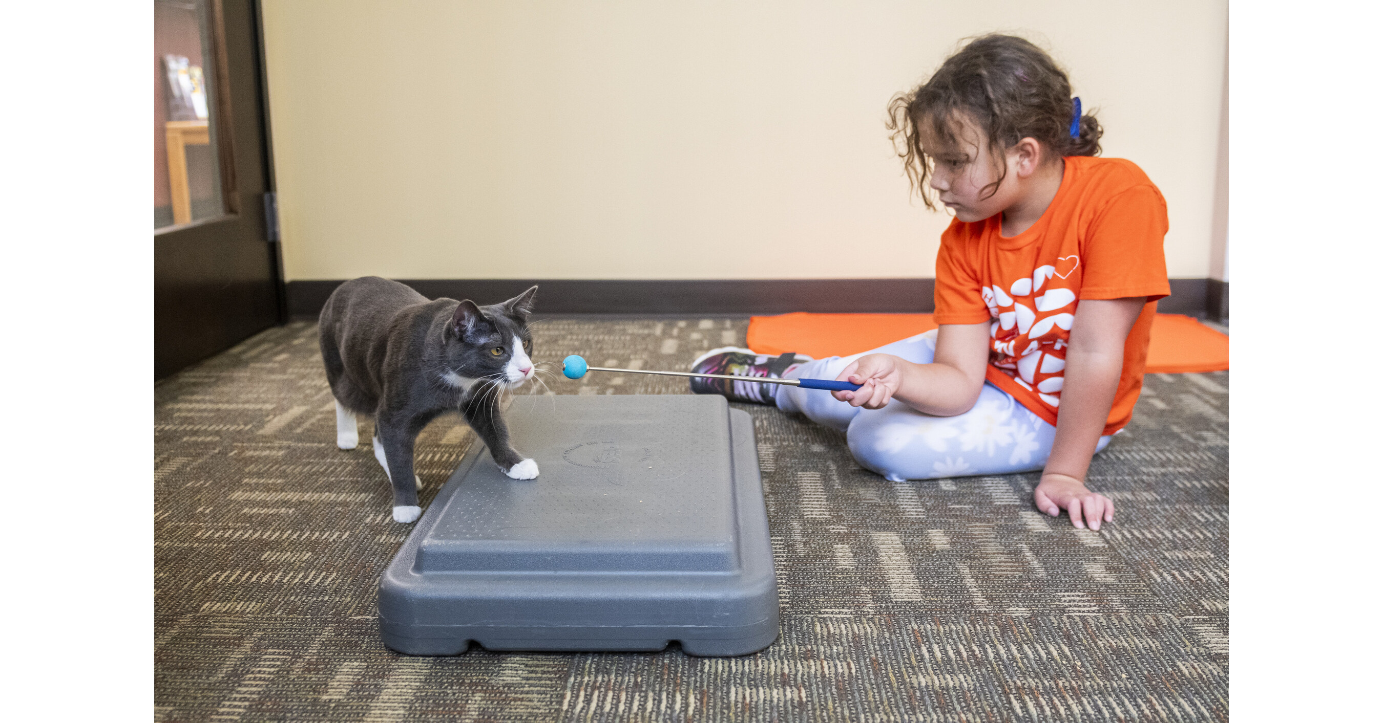 New Research to Examine Impact of Youth-Cat Training Program on Child ...