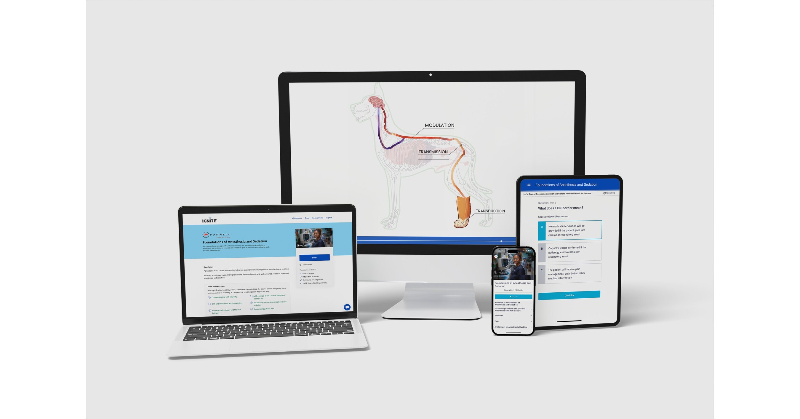 Parnell Introduces New Veterinary Certificate in Anesthesia and Sedation