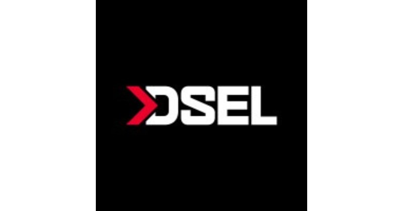 DSEL Expands Leadership Team with Appointment of Jodi Lieberman as ...