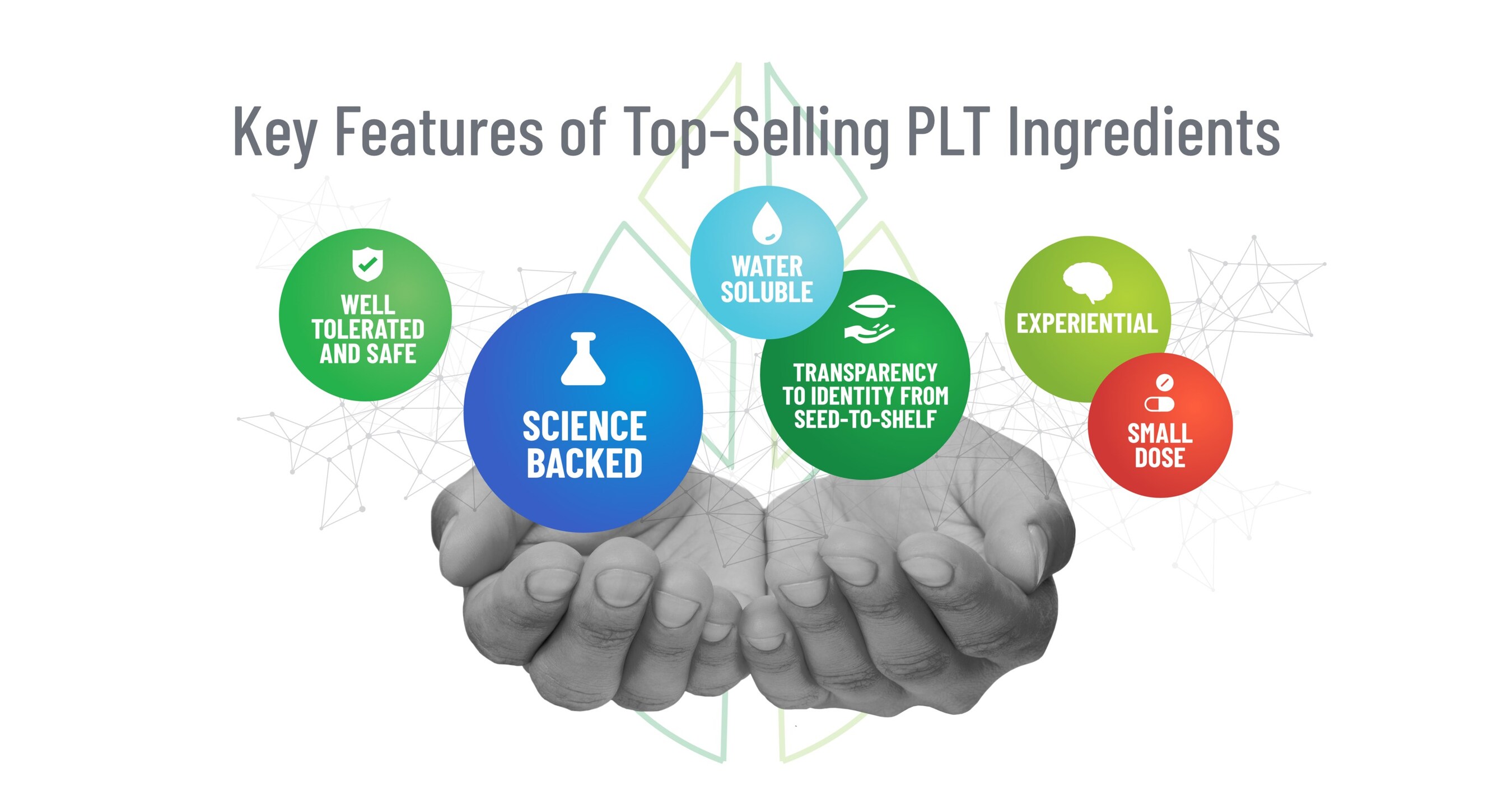 PLT Health Solutions Appoints Devin Stagg as President