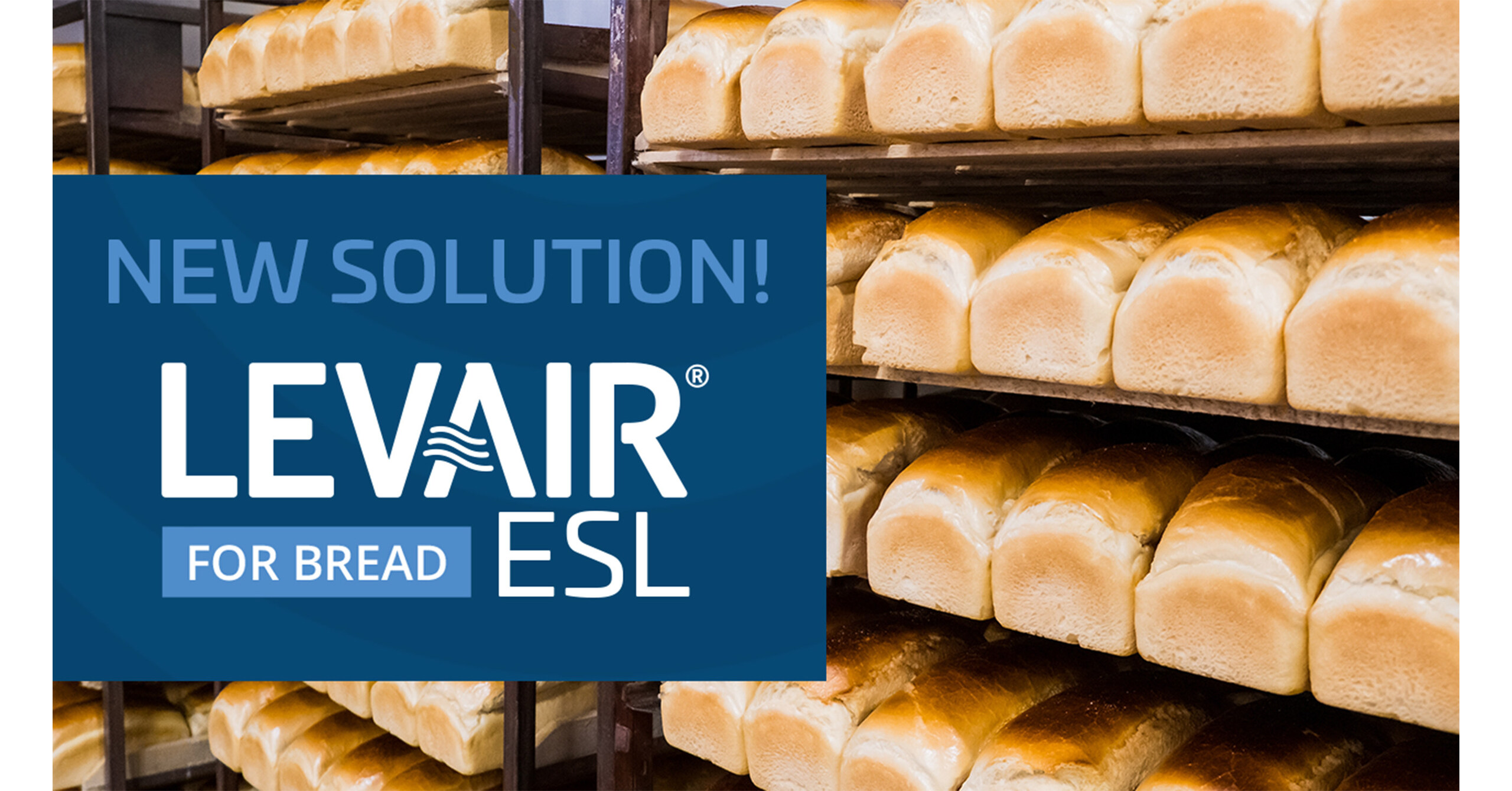 Innophos Launches New Shelf-Life Extension Solution for Bread-LEVAIR ...