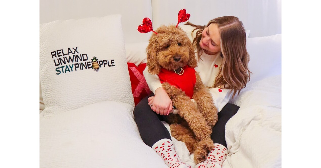 STAYPINEAPPLE CELEBRATES VALENTINE'S DAY WITH PINEAPPLE PUP PLUS ONE ...