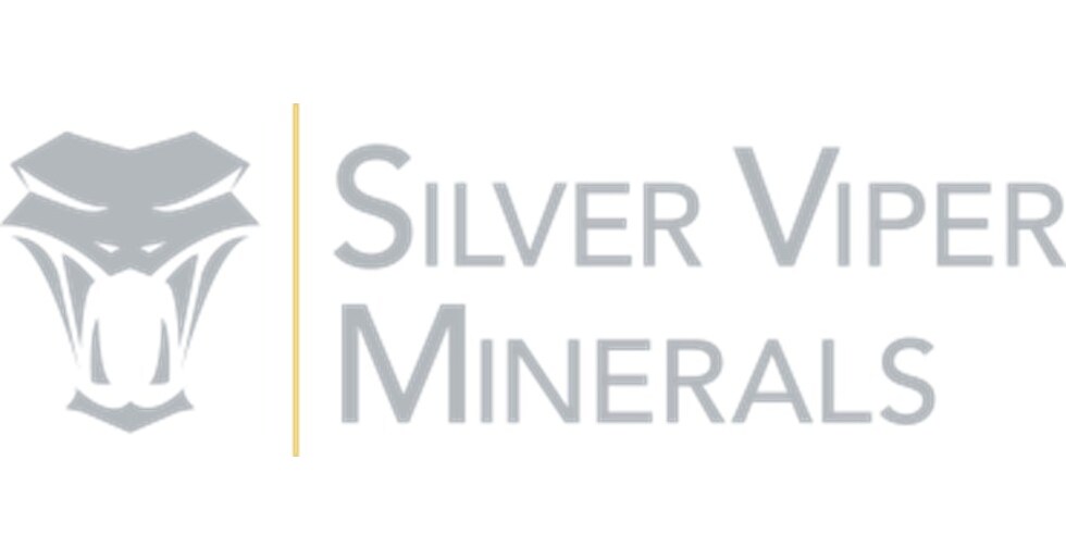 Silver Viper Announces Board Changes