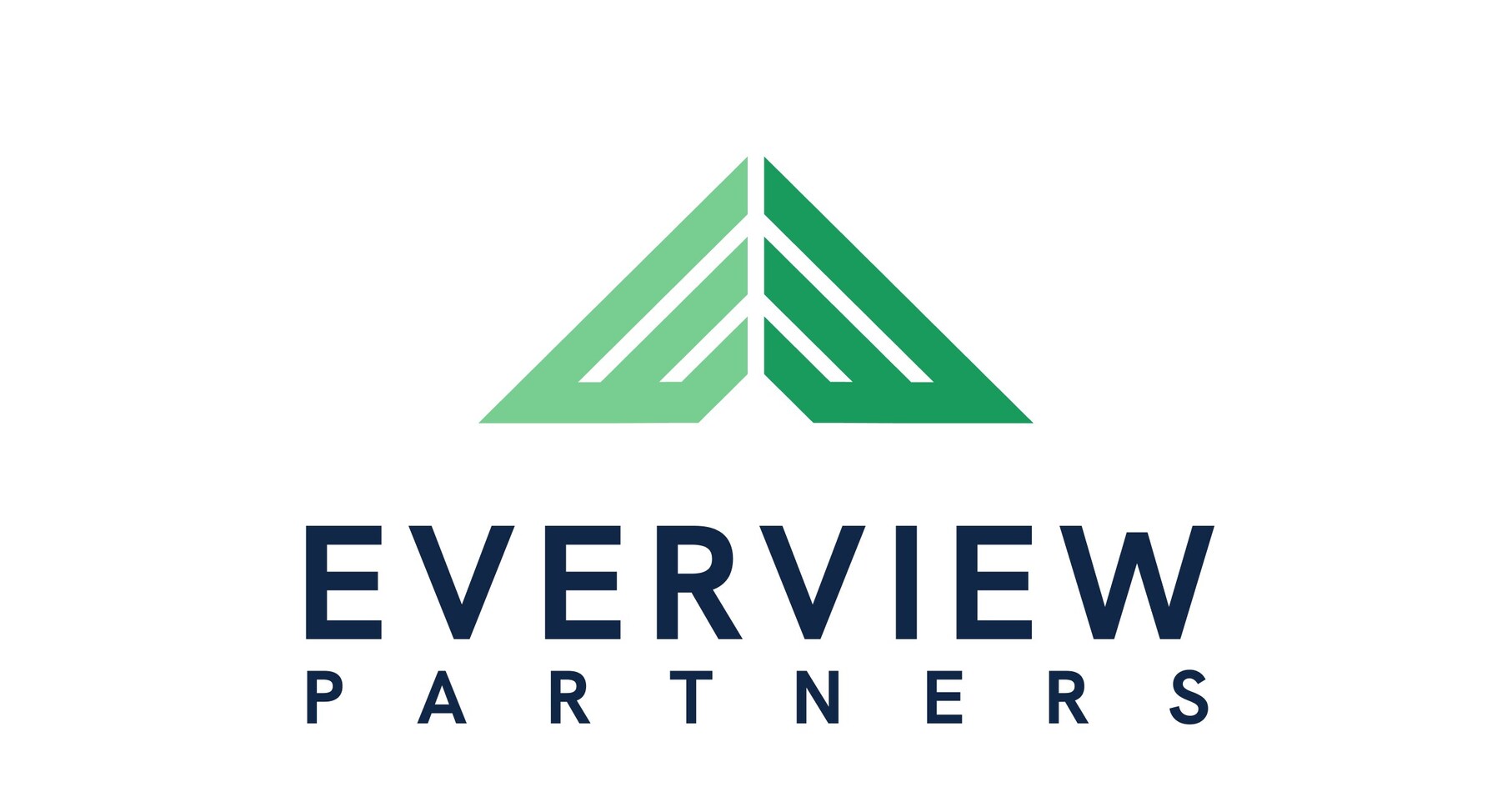 Everview Partners Launches New Private Investment Firm and Announces ...