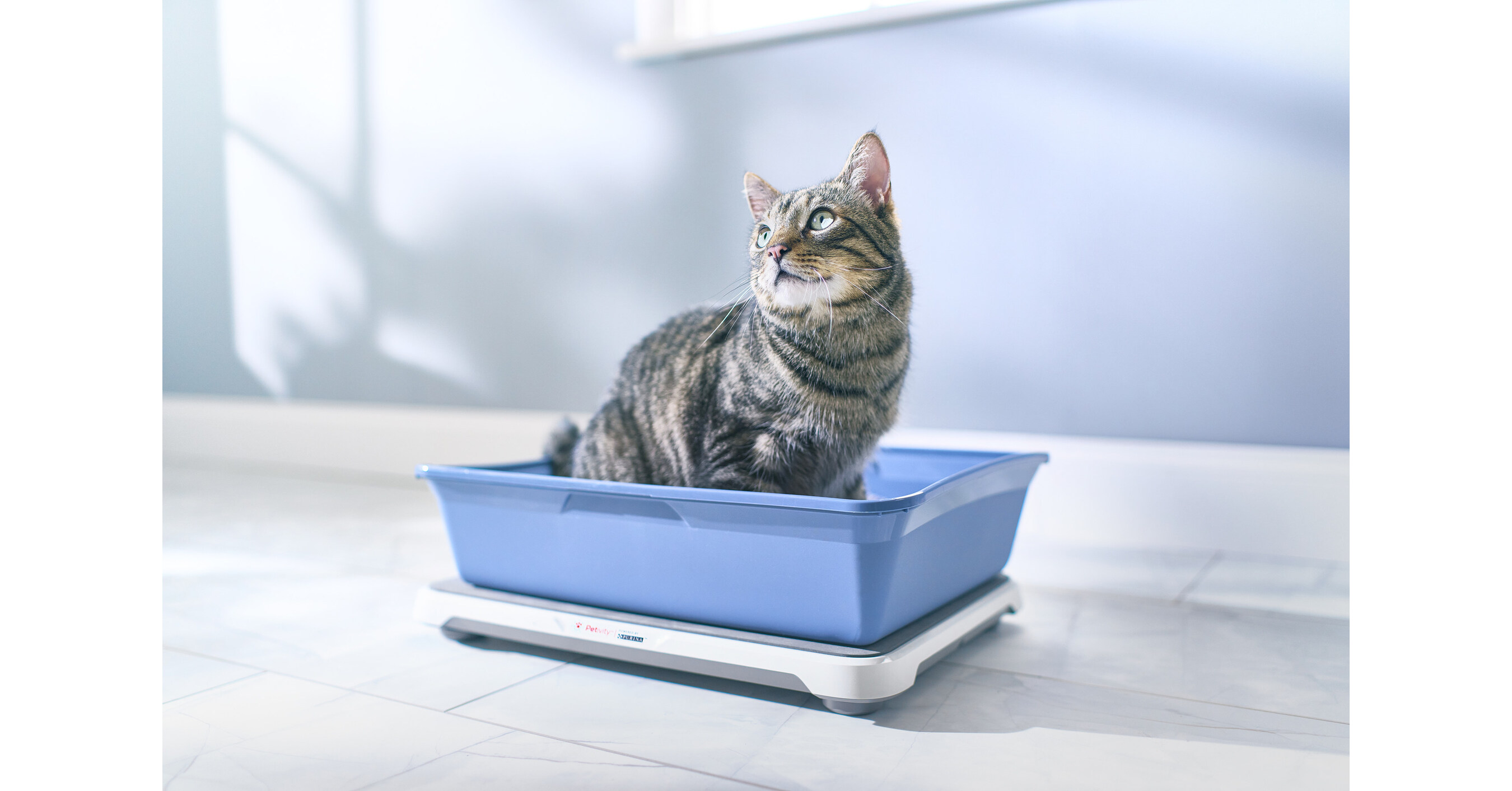 Purina Petivity Smart Litter Box Monitor System Voted Product of the ...