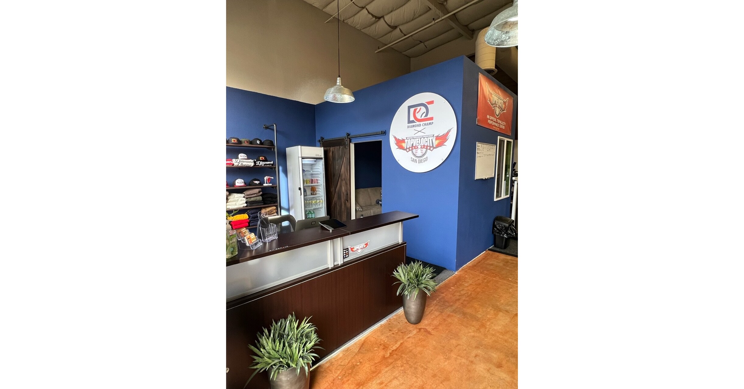 Diamond Champ Performance Facility: Revolutionizing Baseball and ...