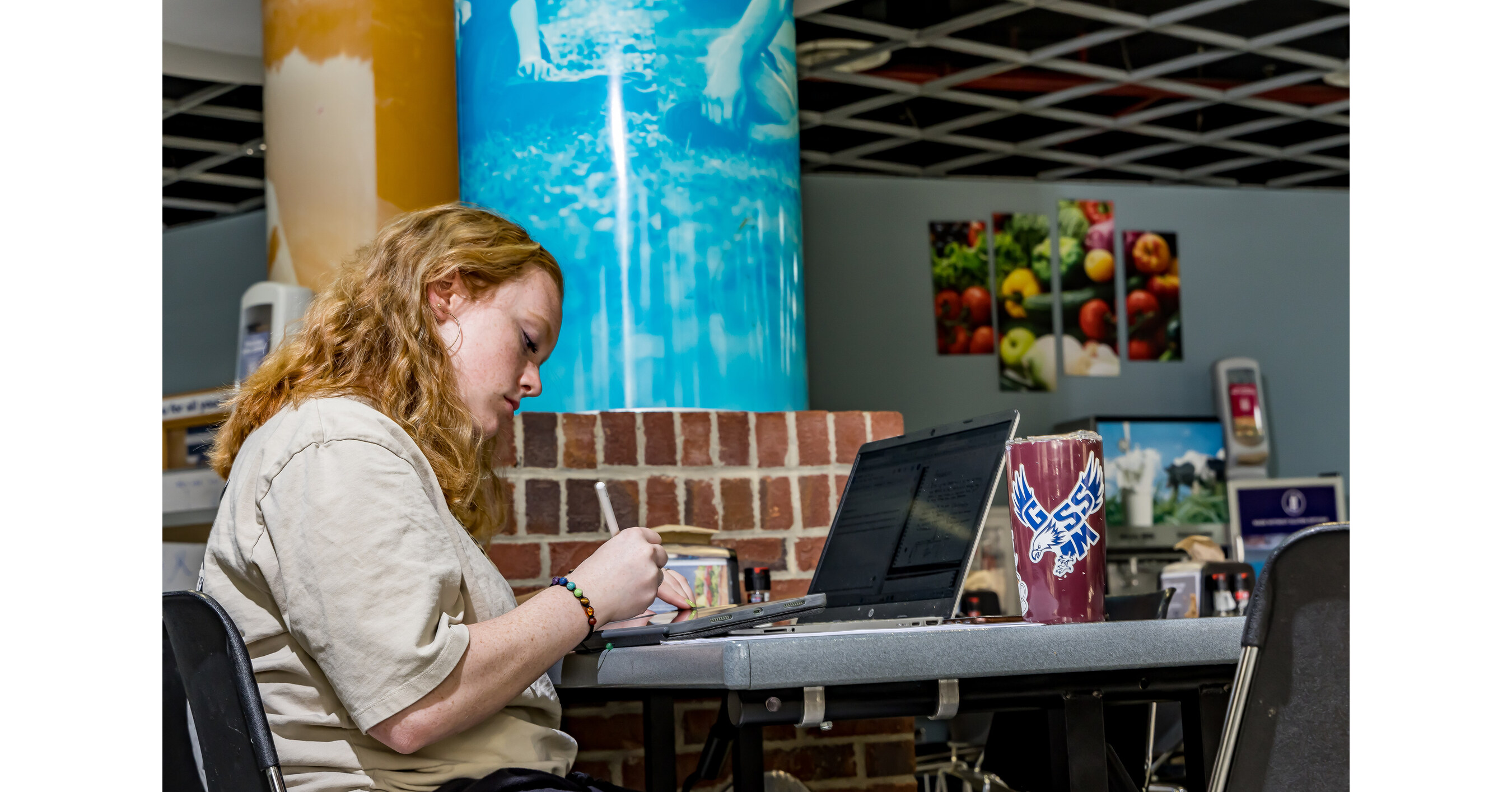 SC Governor's School for Science & Mathematics Expands Virtual STEM ...