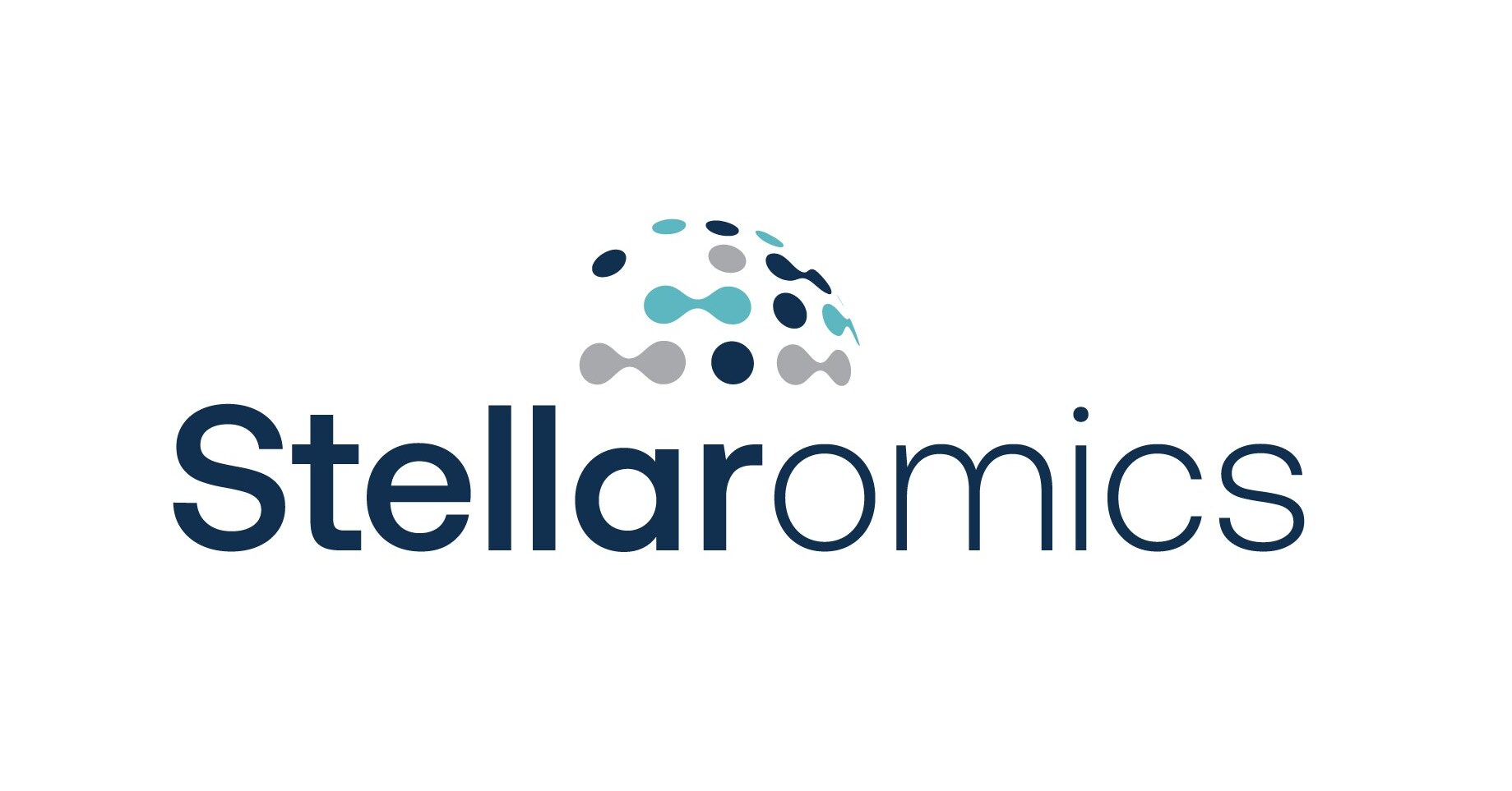 Stellaromics Secures Significant Funding to Advance 3D Spatial Biology