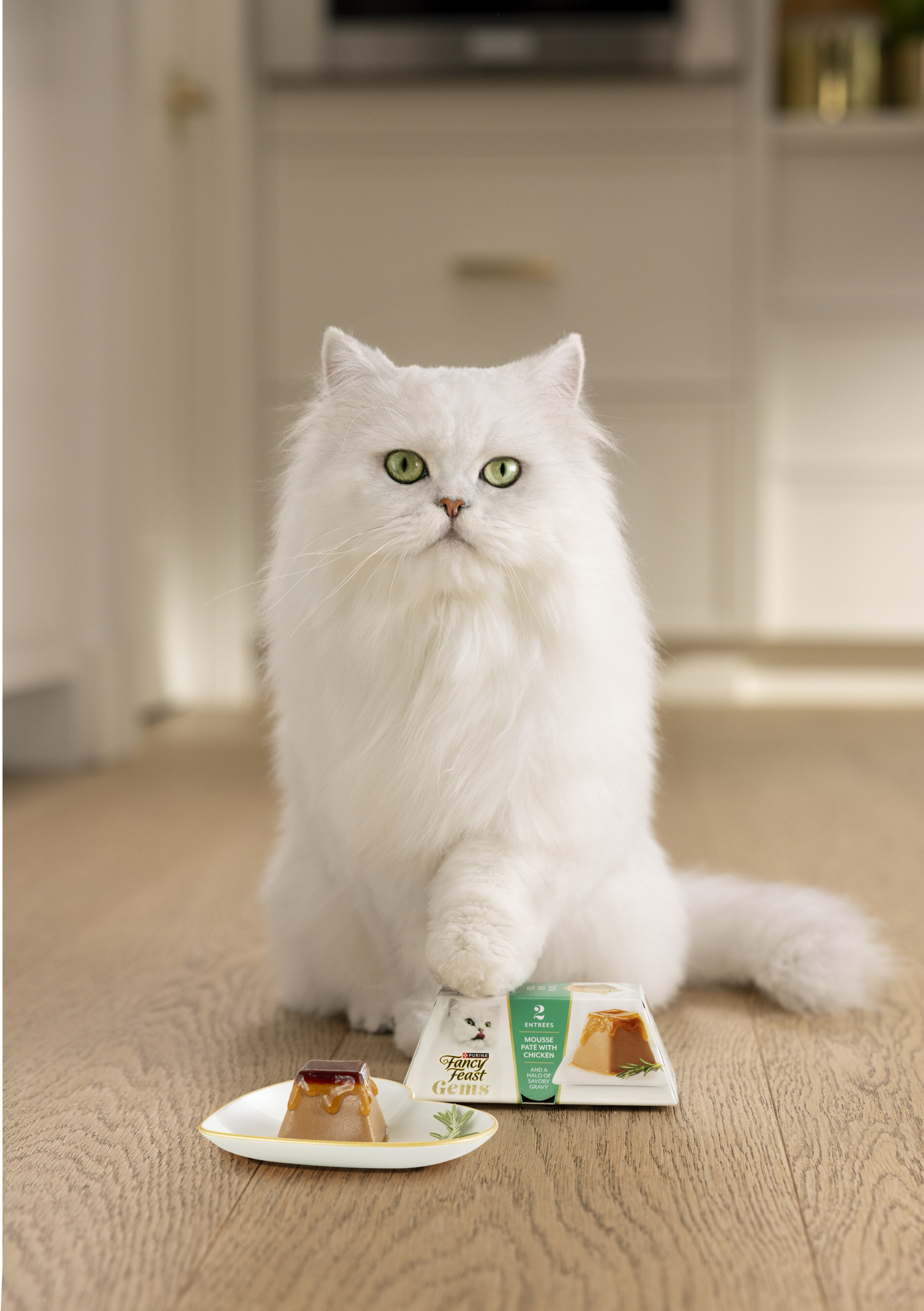 Fancy Feast Cat Chunky' Cat Refuses To Eat New Science Based Food To