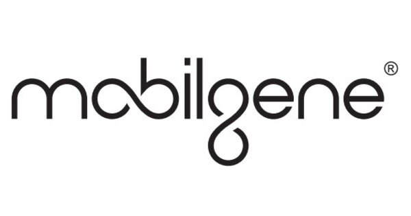 Hyundai AutoEver's Vehicle Software Platform Achieves Top Global ...