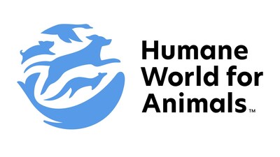 Animal charity Humane Society International Australia becomes 'Humane ...