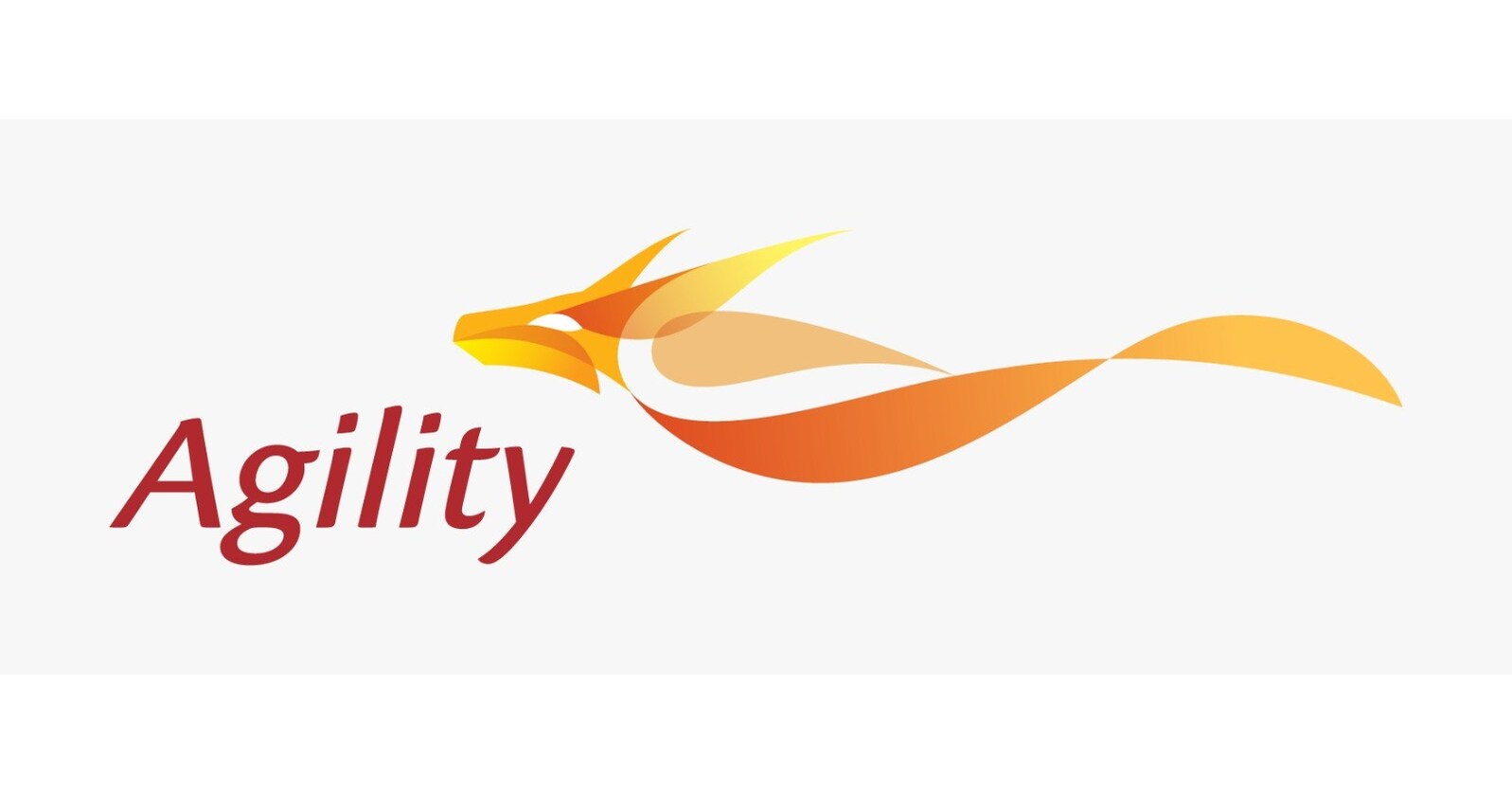 Agility: Com os riscos se aproximando, os executivos de logística dizem ...