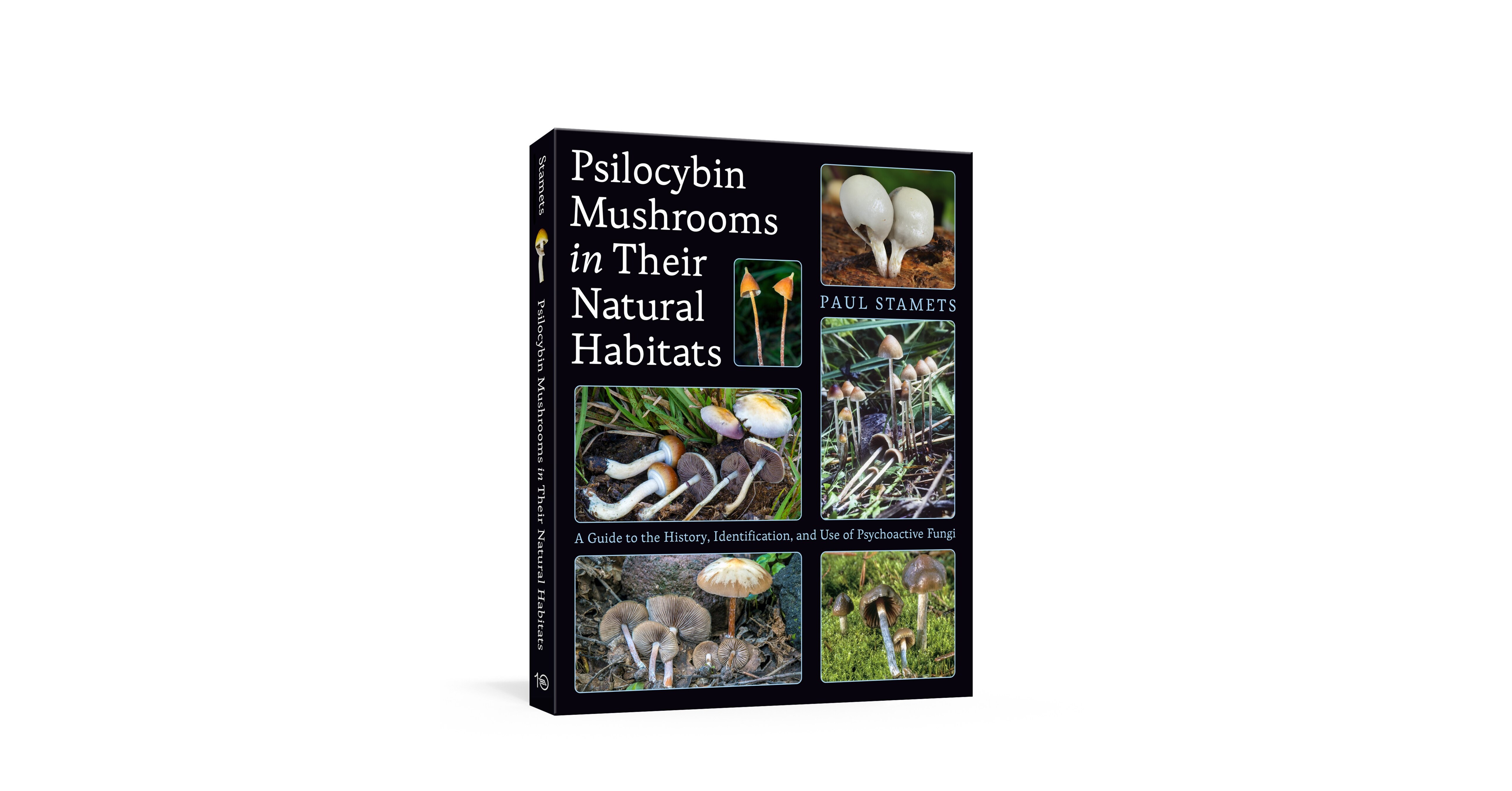 Paul Stamets Publishes New Book: Psilocybin Mushrooms in Their Natural ...
