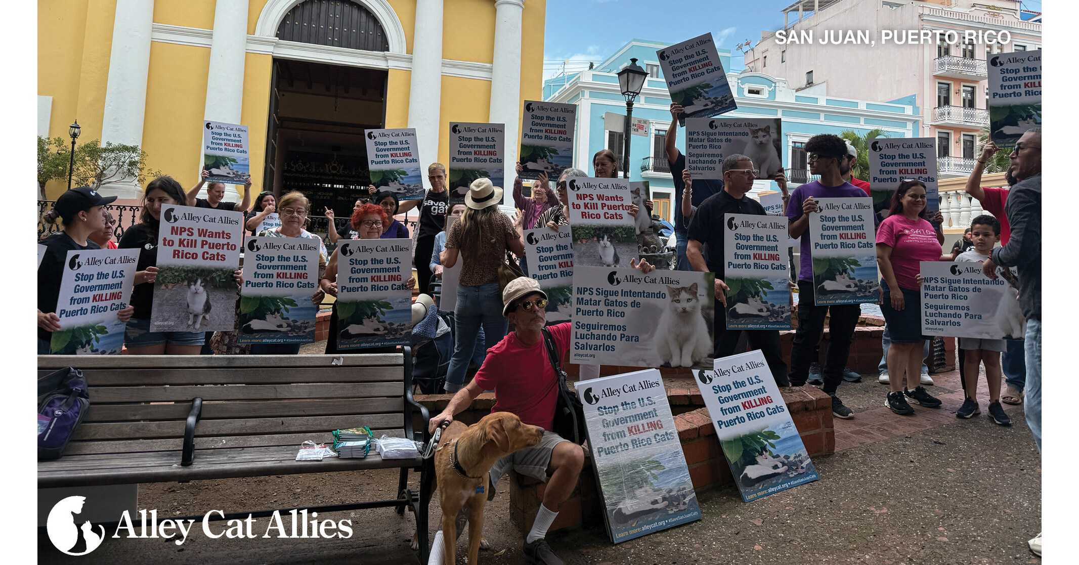 Alley Cat Allies Continues Worldwide Protest to Stop U.S. National Park ...