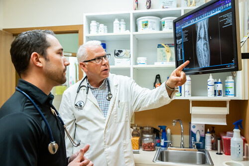 CareVet Announces Premier Centers: Elevating Veterinary Care Through ...