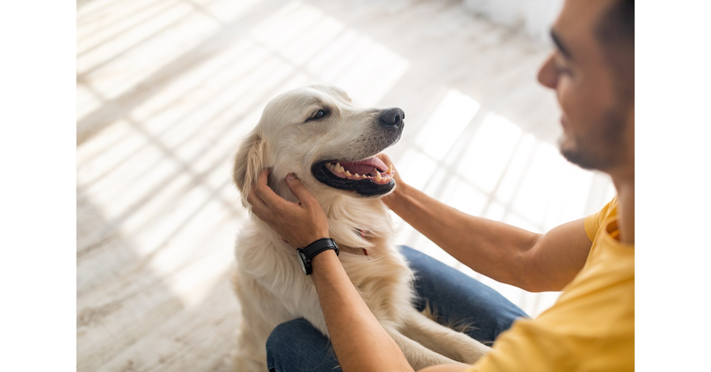 Mars launches landmark global study program on pets' contribution to ...