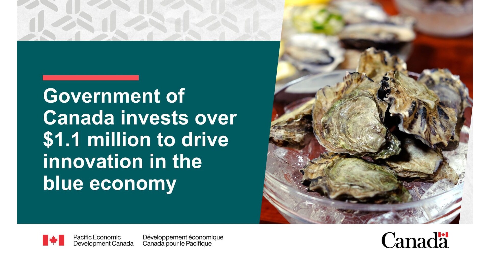 Government of Canada invests over $1.1 million to drive innovation in ...