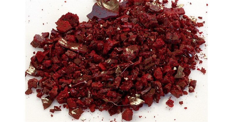 Debut Scores Breakthrough in Carmine Bioproduction and Unveils Plans to ...