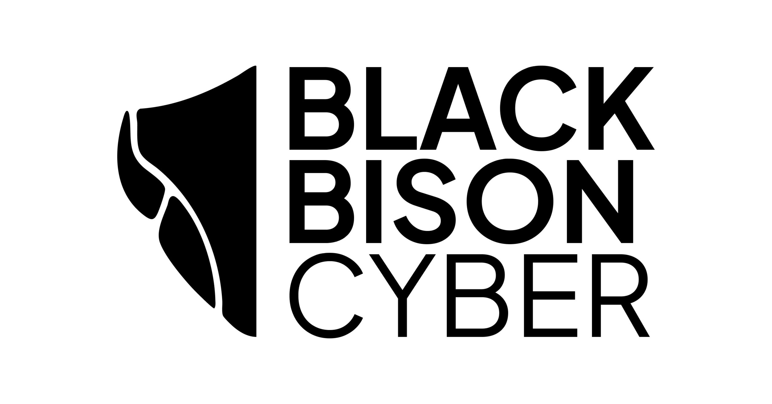 BLACK BISON CYBER LAUNCHES PORTFOLIO OF TAILORED DIGITAL SECURITY ...