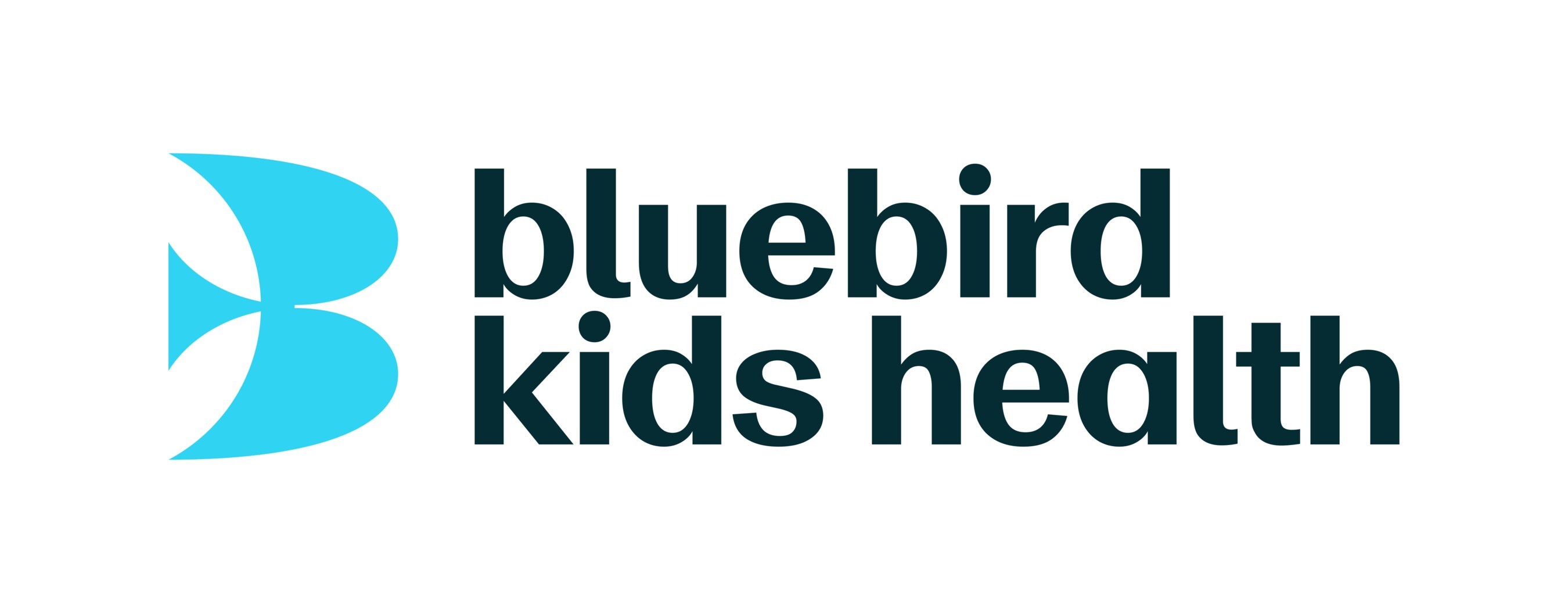 BLUEBIRD KIDS HEALTH RAISES $31.5M TO TRANSFORM VALUE-BASED PEDIATRIC ...