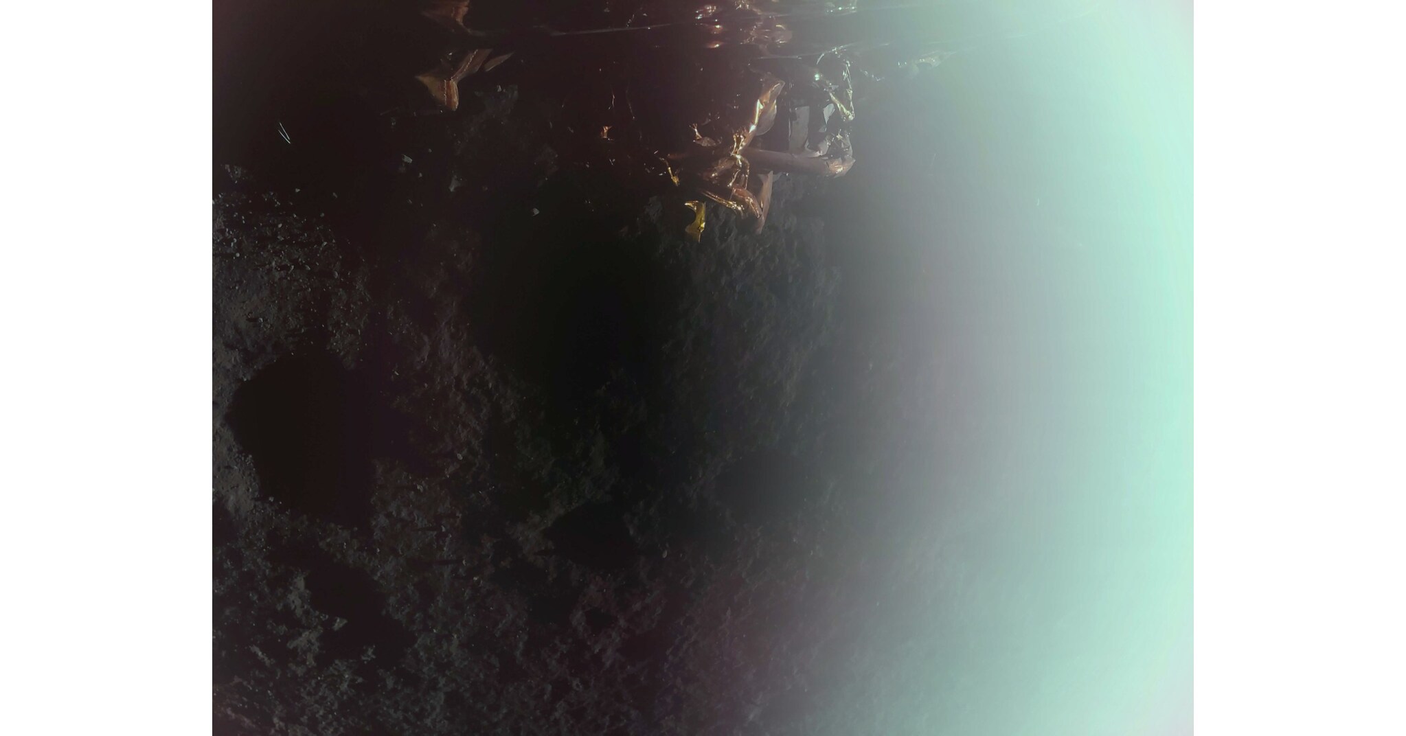 Touchdown! Carrying NASA Science, Firefly's Blue Ghost Lands on Moon