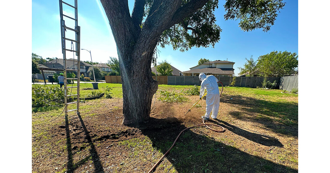 Wilder Tree Company Welcomes Certified Arborist David Boyer and Expands ...