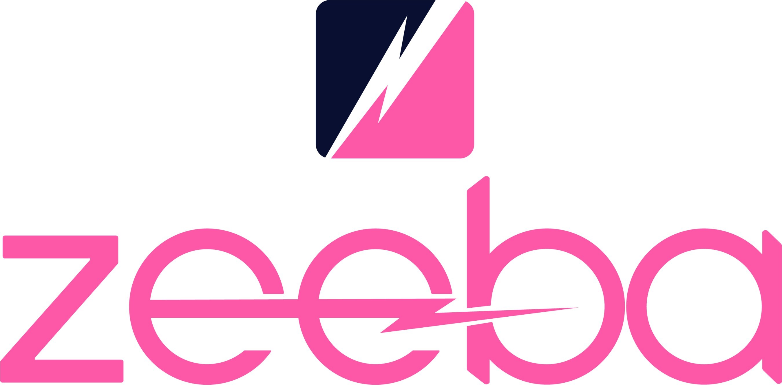 Zeeba Appoints Amit Kapur as New CEO, Succeeding Founder Kayvon Marashi