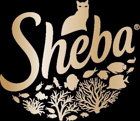 'Reef Builders' Makes Waves with World Premiere Hosted by the SHEBA® Brand Ahead of Prime Video ...