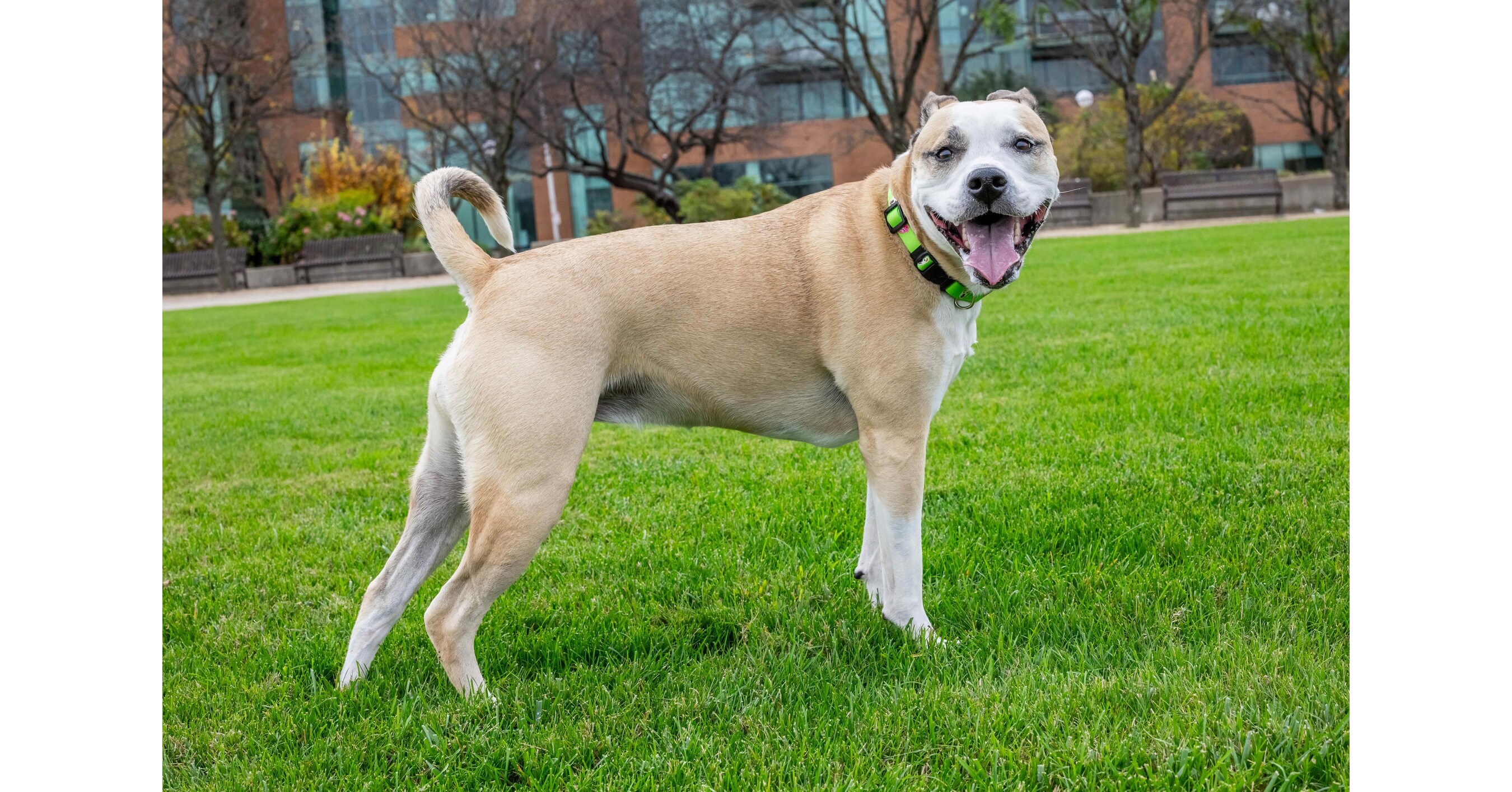 Vote for Louisville's Waterfront Park, Home of the TurfMutt Great Lawn ...