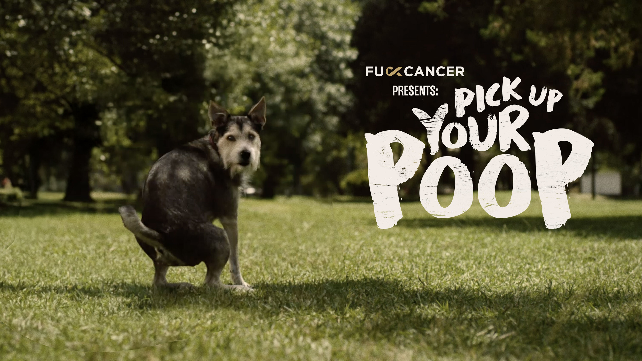 "Pick Up Your Poop" F Cancer's New Campaign Encourages At-Home ...