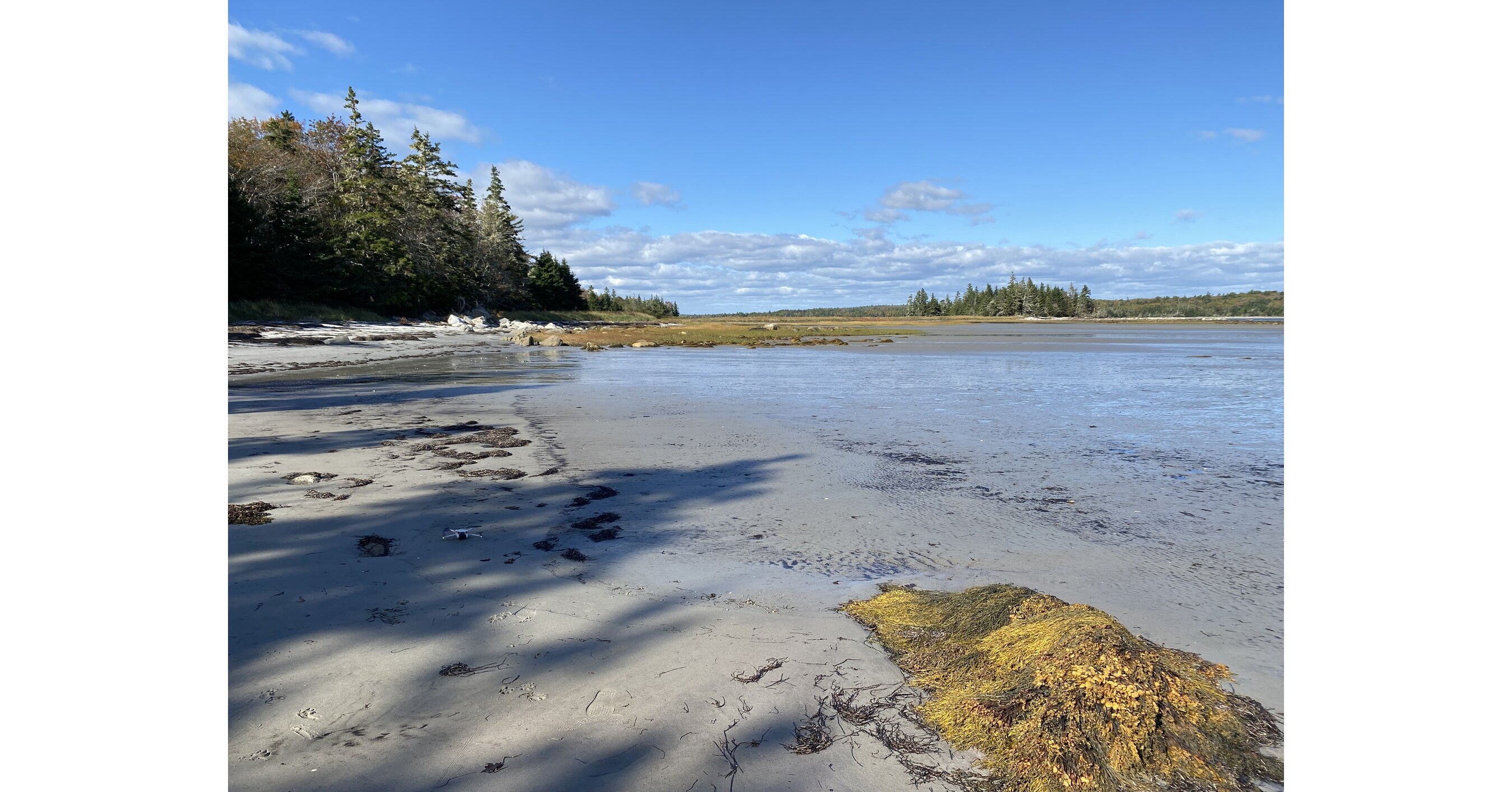 Ducks Unlimited Canada safeguards two Nova Scotia salt marshes