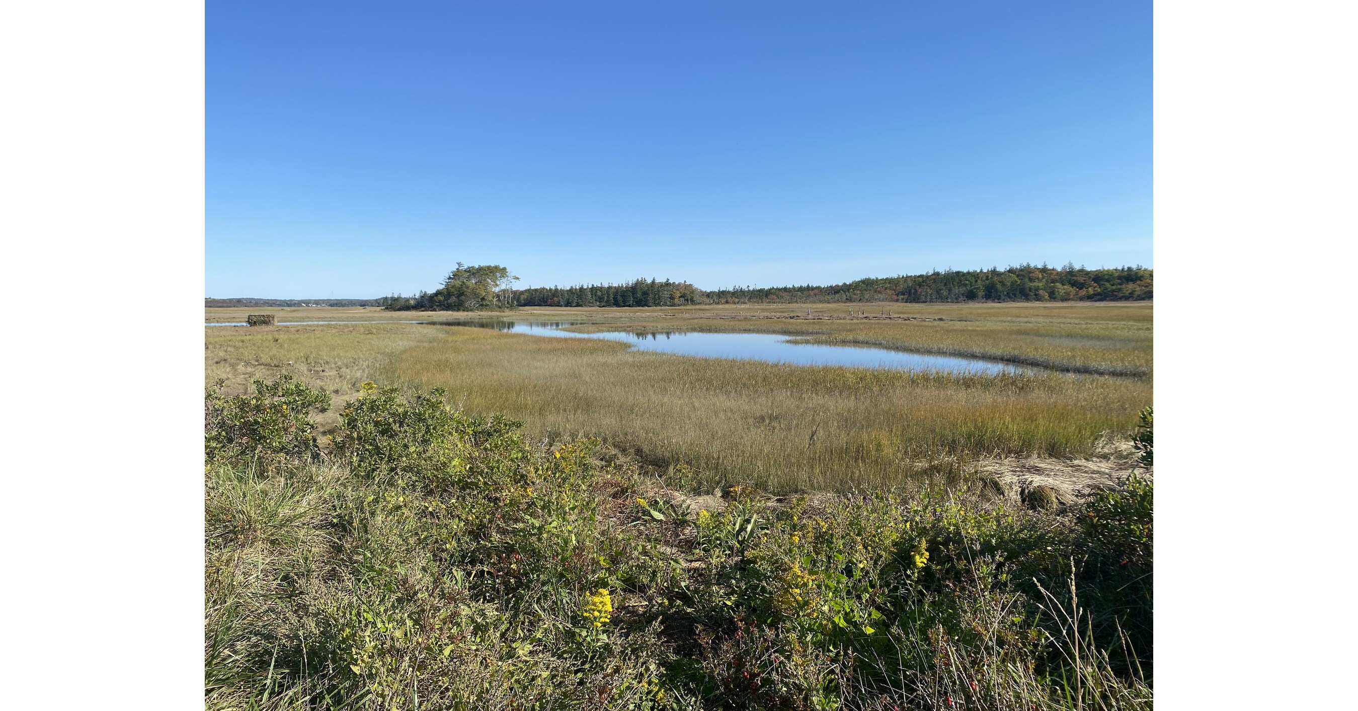 Ducks Unlimited Canada safeguards two Nova Scotia salt marshes