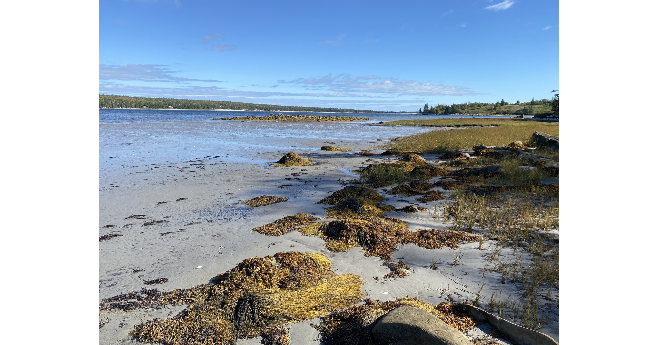 Ducks Unlimited Canada safeguards two Nova Scotia salt marshes