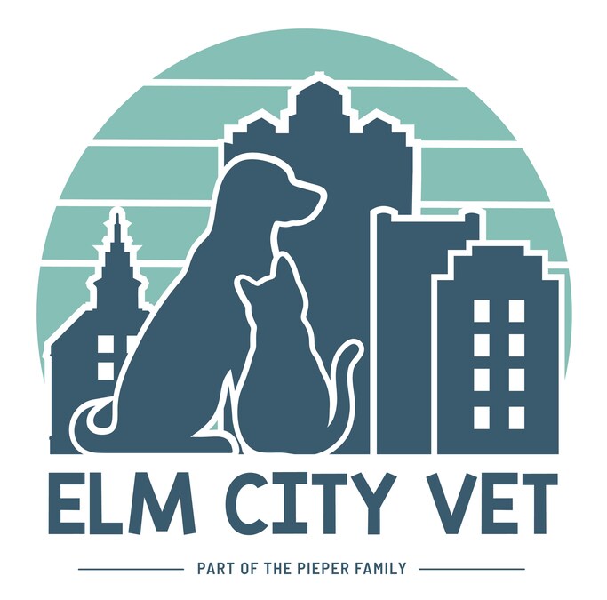 City Vet Logo City Vet Hospital Pet Grooming, Pet Care, Pet Moving