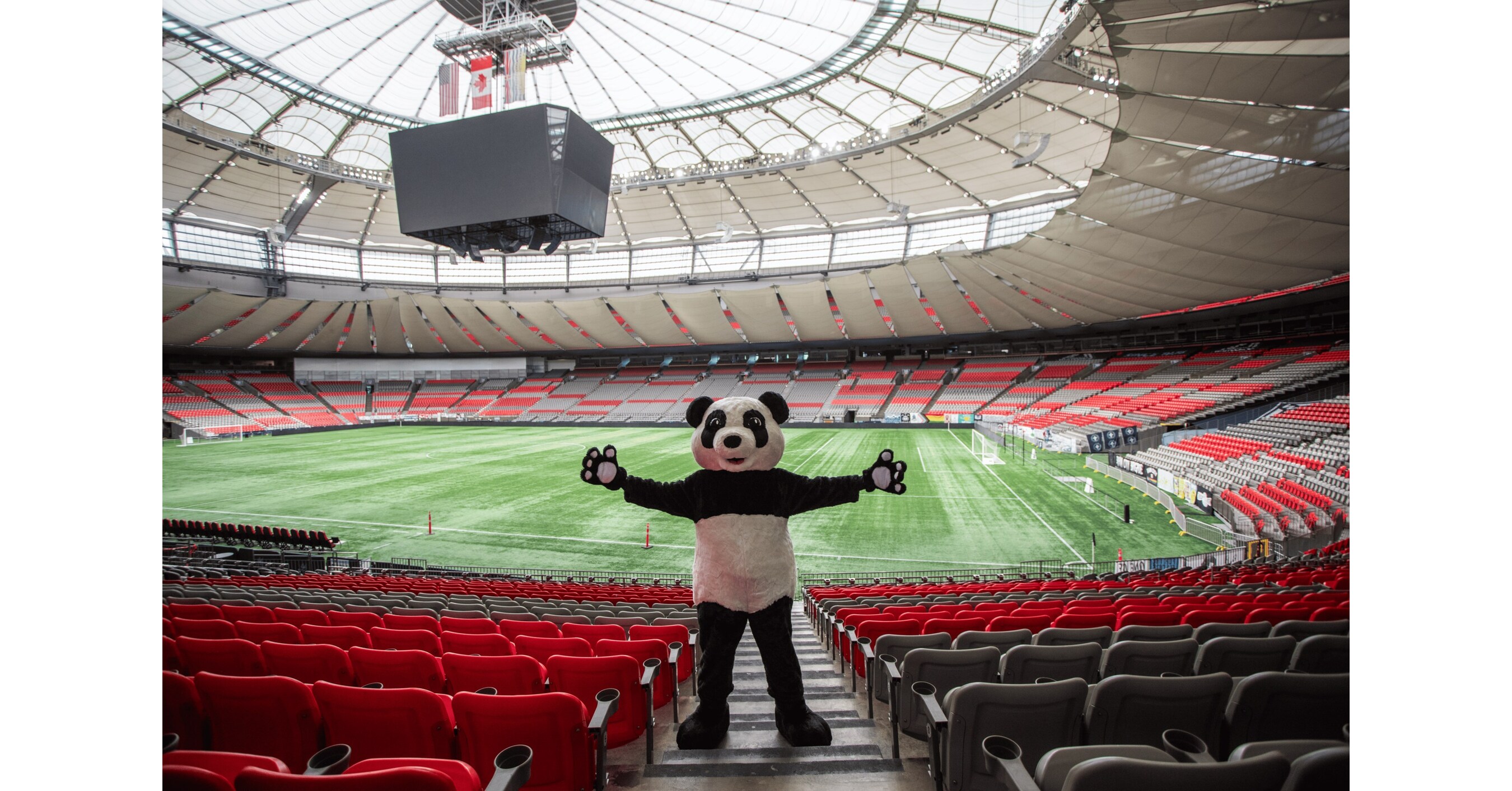 Hey Canada, it's time to take action for nature during Earth Hour