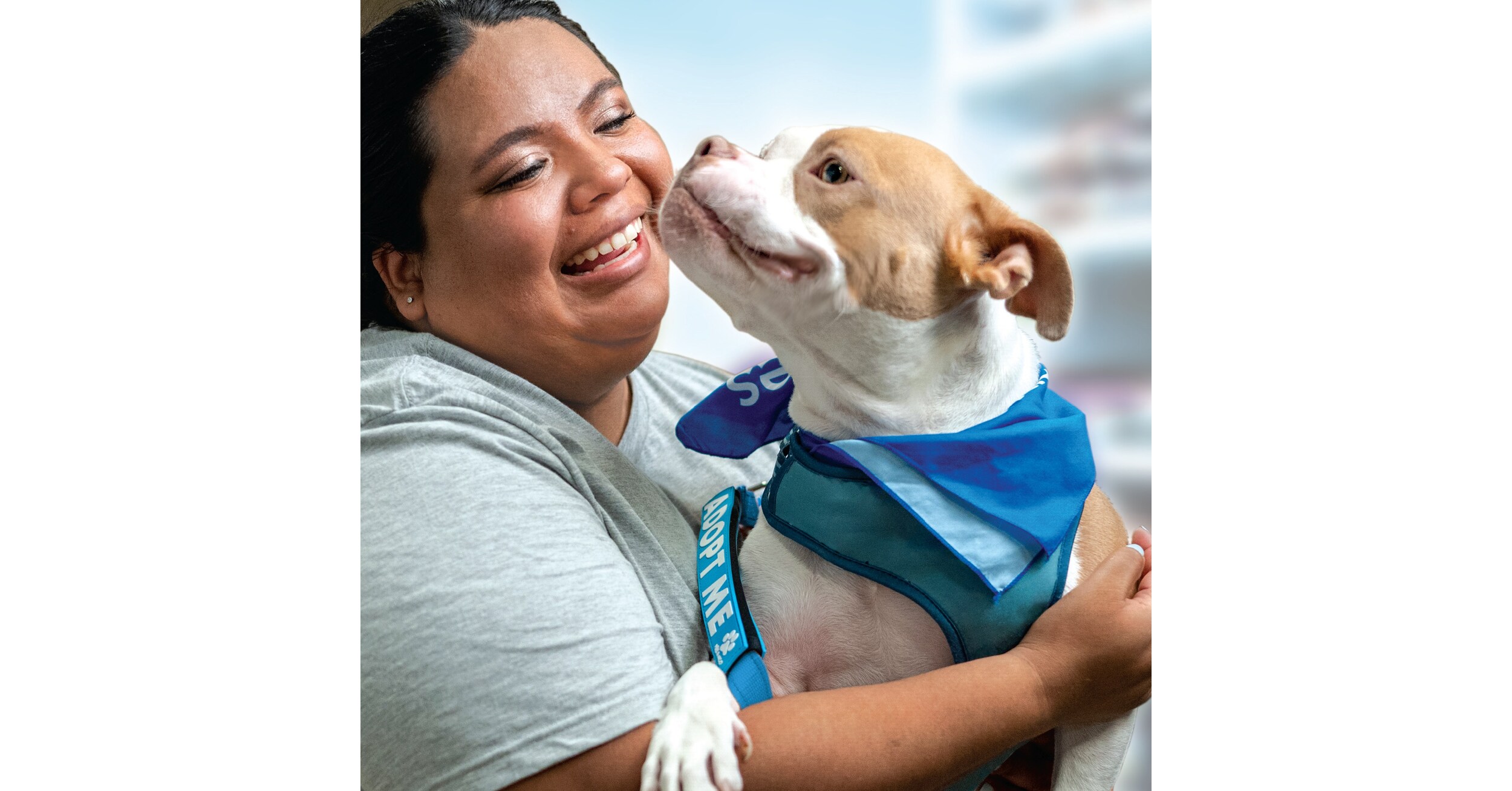 PetSmart Charities Grants $5 Million to Local Animal Welfare Groups to ...