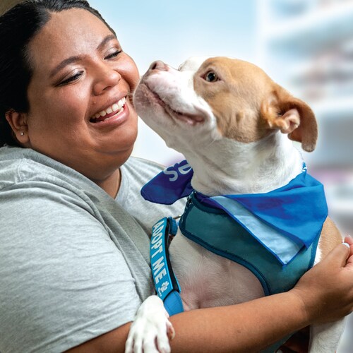 PetSmart Charities Grants $5 Million to Local Animal Welfare Groups to ...