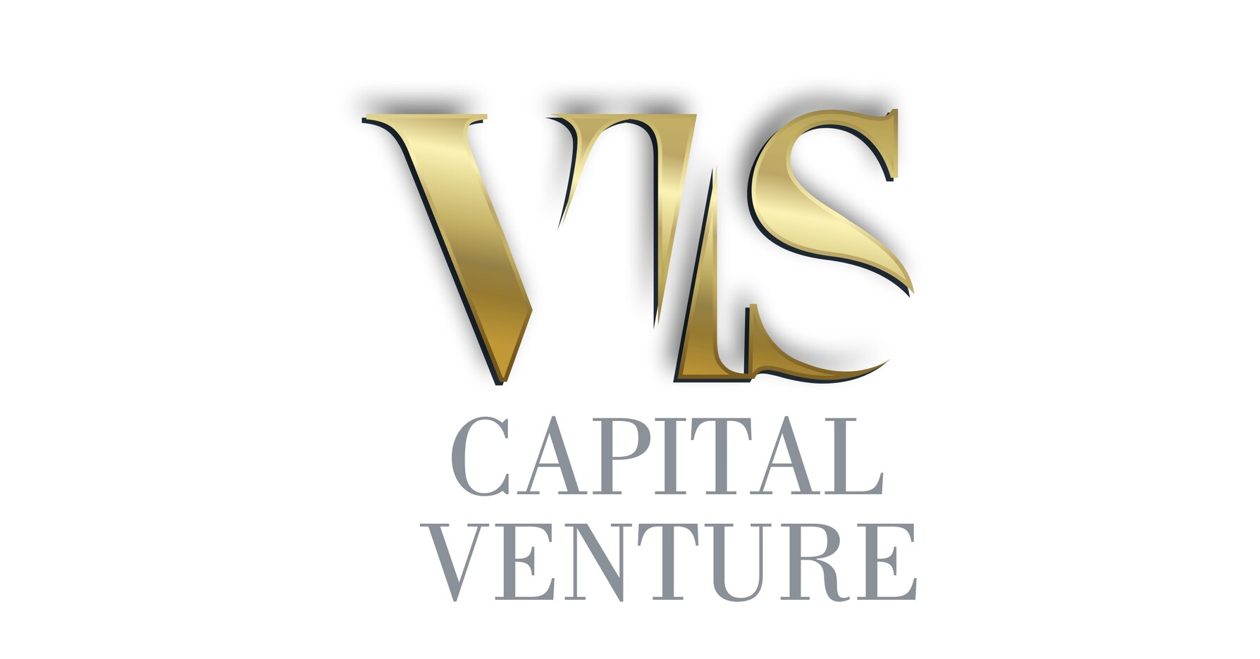 VIS Capital Venture Expands Lending Capacity to $1 Billion in 2025 ...