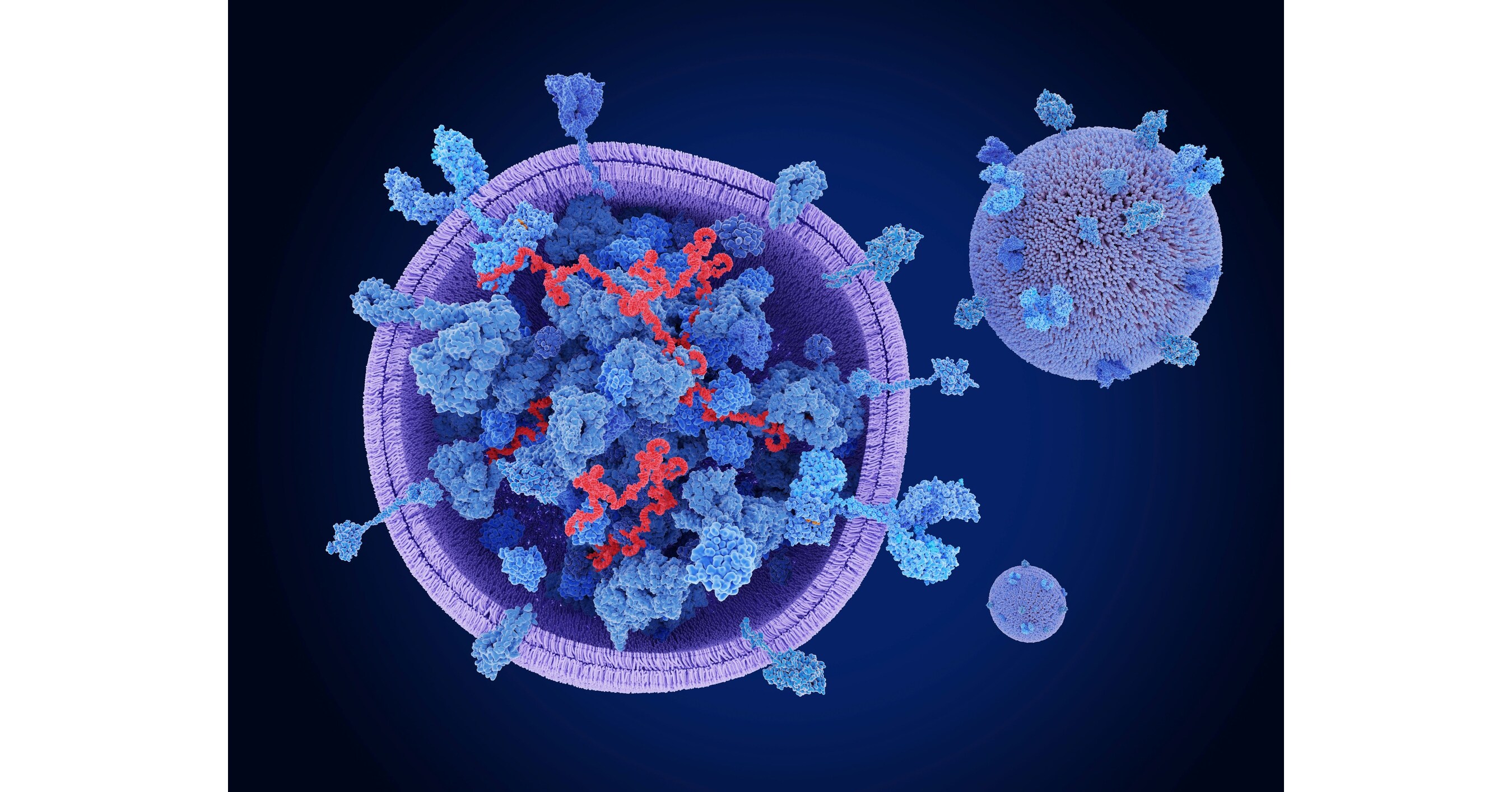 Turn Biotechnologies Acquires ARMMs Vesicular Technology to Increase ...