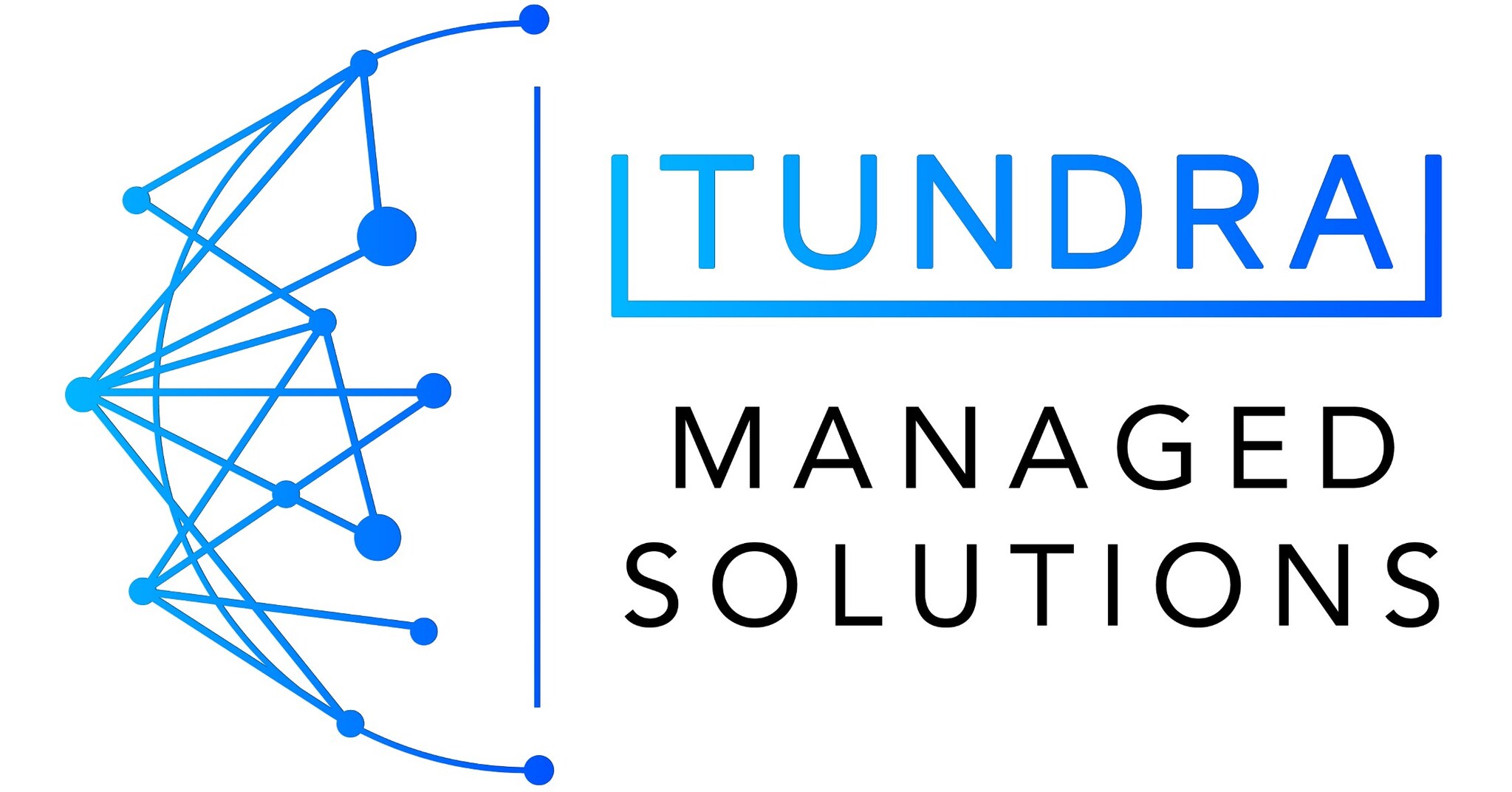 Tundra Managed Solutions Partners with Salesforce to Revolutionize Digital Transformation ...